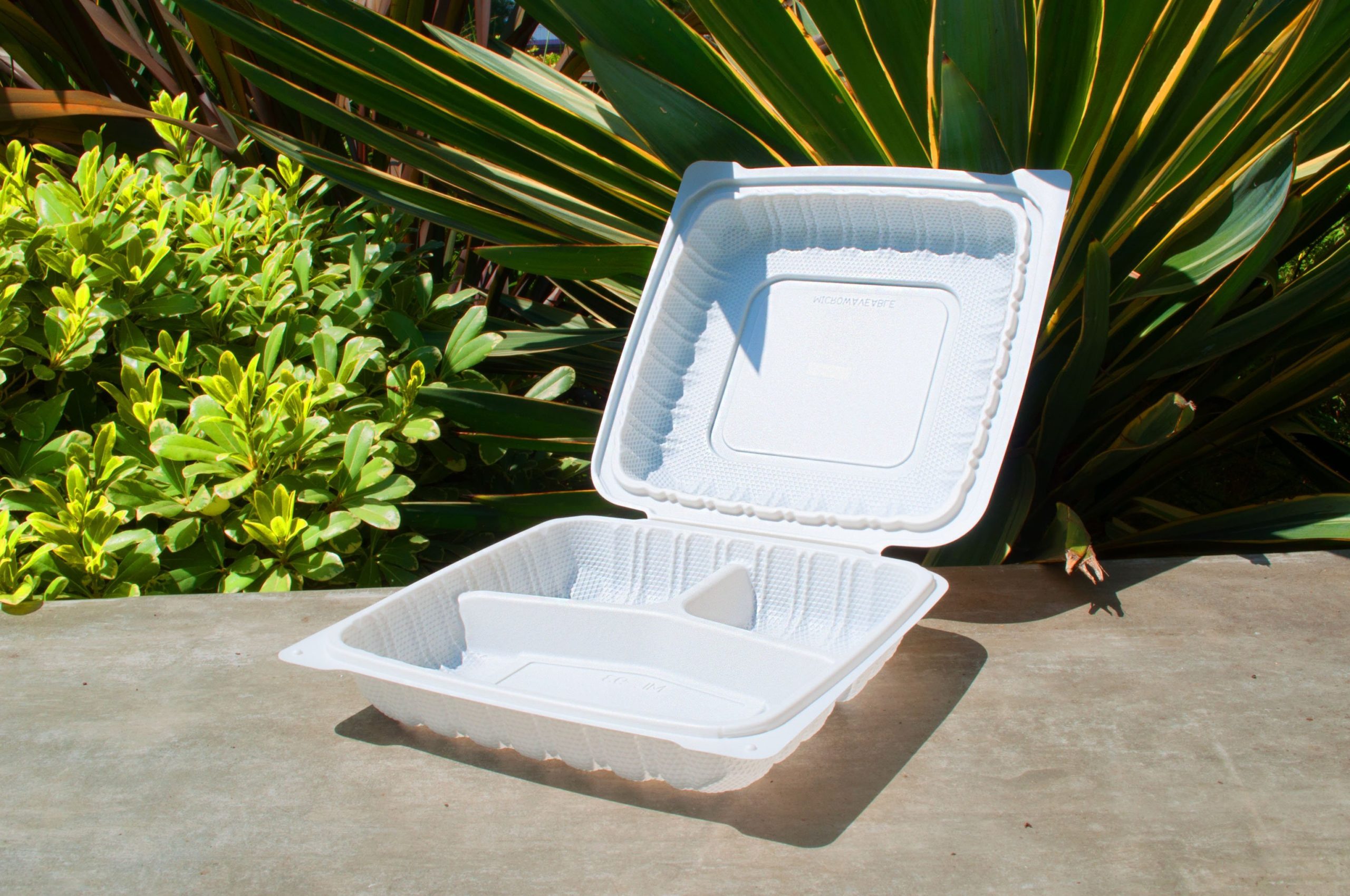 8'' 3-Compartment Clamshell Box (180 pcs) - Eatery Outlet