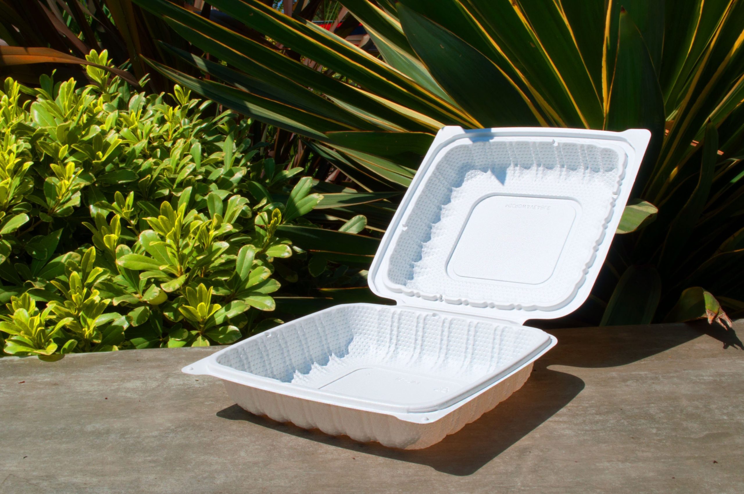 8'' Single Compartment Clamshell Box - High Version (180 pcs) - Eatery ...
