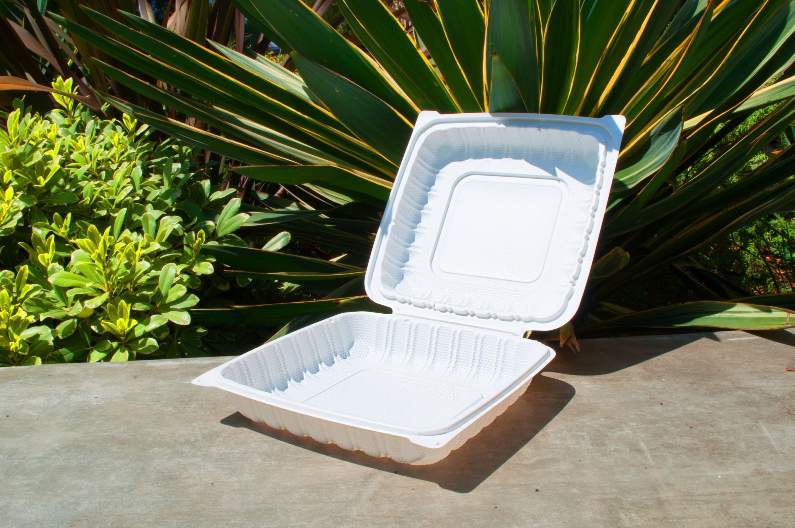 9'' Single Compartment Clamshell Box (200 pcs) - Eatery Outlet