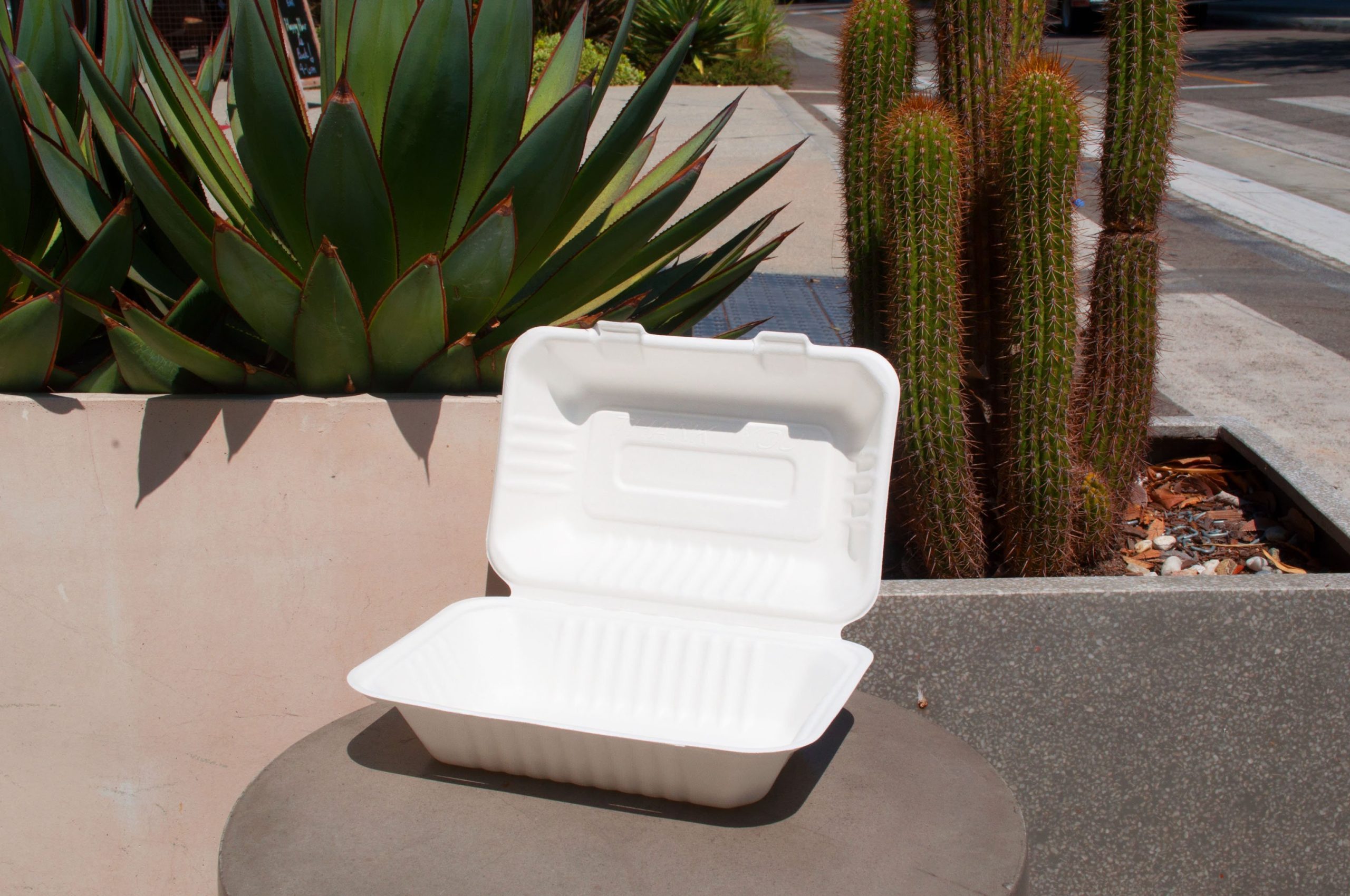 9" x 6" Hotdog Bagasse Sugarcane Clamshell Box (250 pcs) - Eatery Outlet