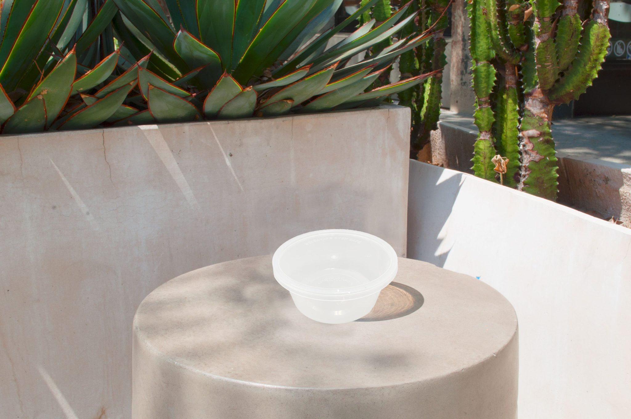 12oz Deli Container (500 containers) - Eatery Outlet