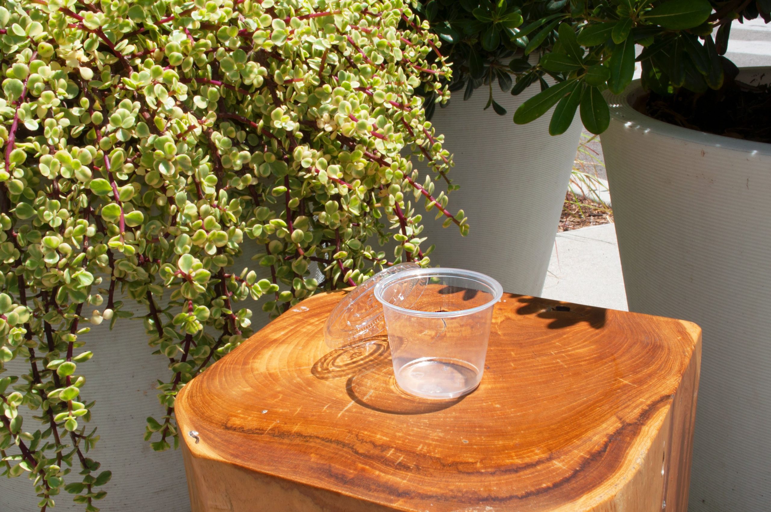 Food Storage Containers and Packaging Boxes - Eatery Outlet